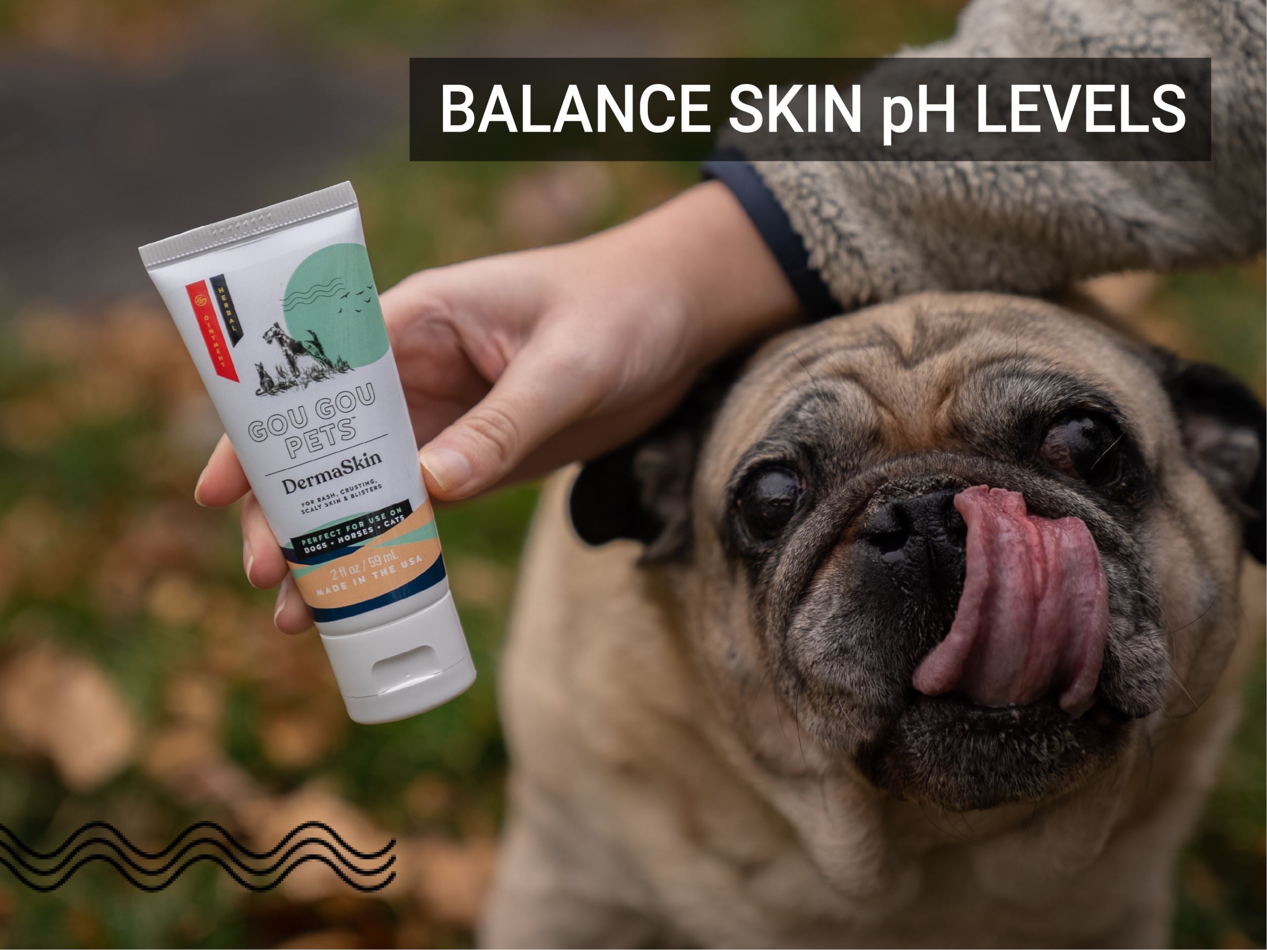 Skin and Rash Ointment For Dogs and Cats | PawsnCollars