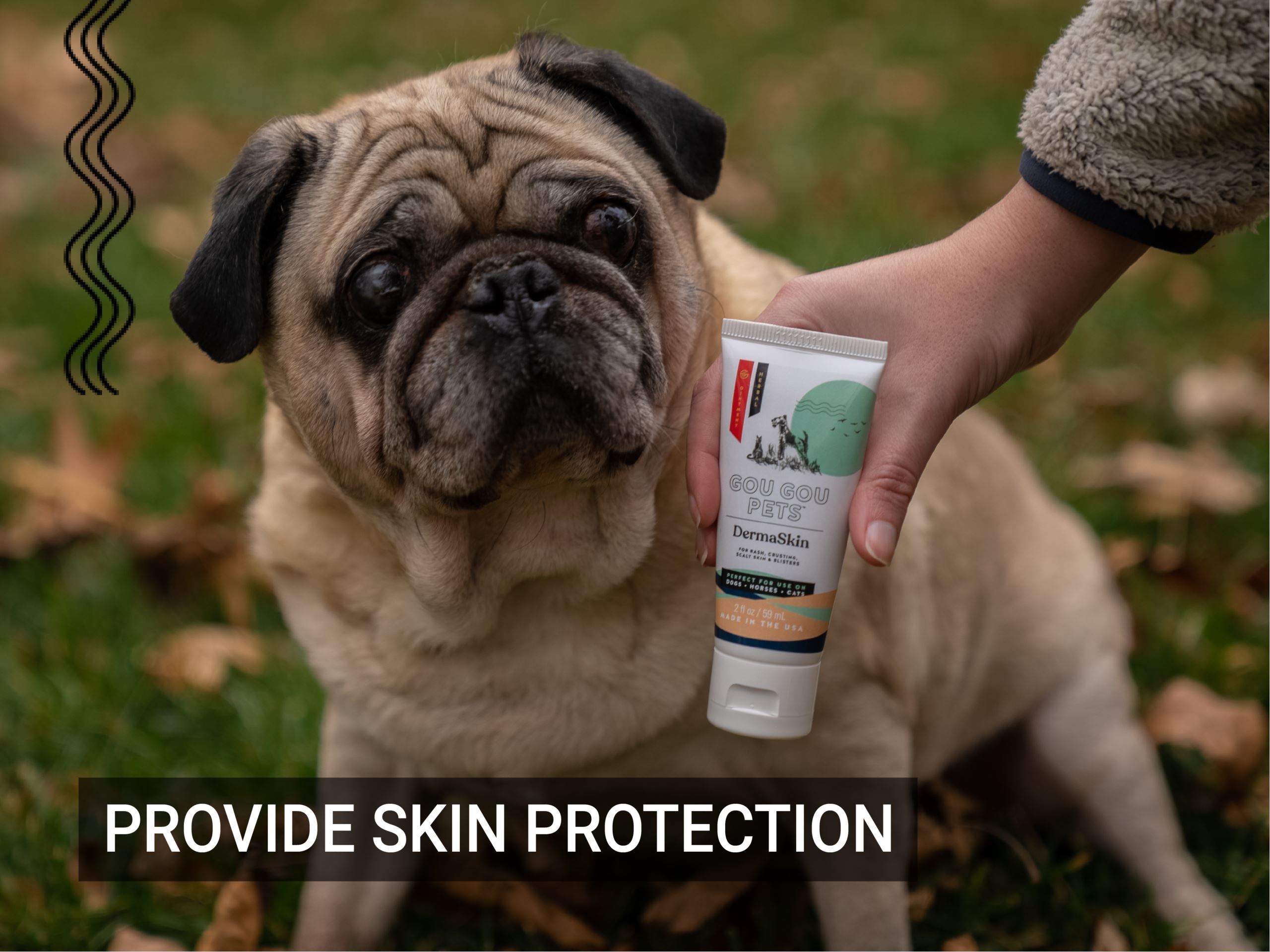 Skin and Rash Ointment For Dogs and Cats | PawsnCollars